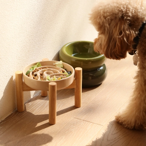 [Spark] Slow Feeder Dog Bowls - Red / Green / Blue – All things Great ...